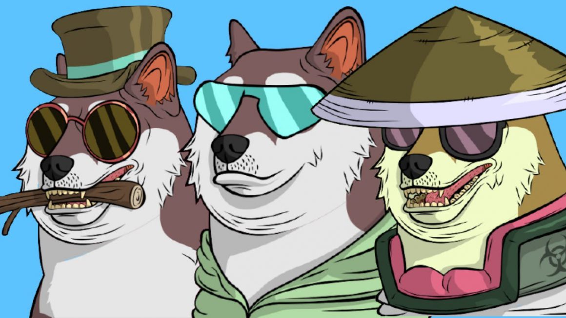 The Doge Pound NFT – Everything You Need to Know