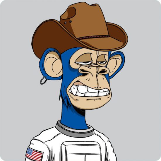 Board Ape Yacht Club NFT Releases Updated Roadmap