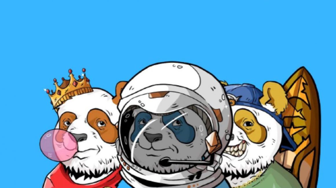 What is Panda Dynasty NFT? Everything Should Know