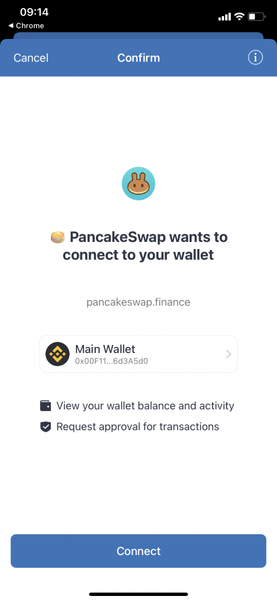 Using PancakeSwap for iPhone