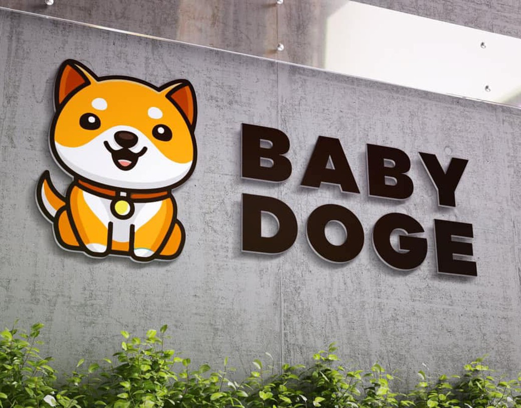 Baby Doge Coin Approaching the '1 Million Holders Milestone' a Day ...