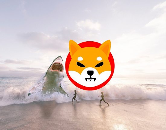 Whales Purchase Shiba Inu During the Dip, Add More Than 20 Billion Coins Each Into their Bags