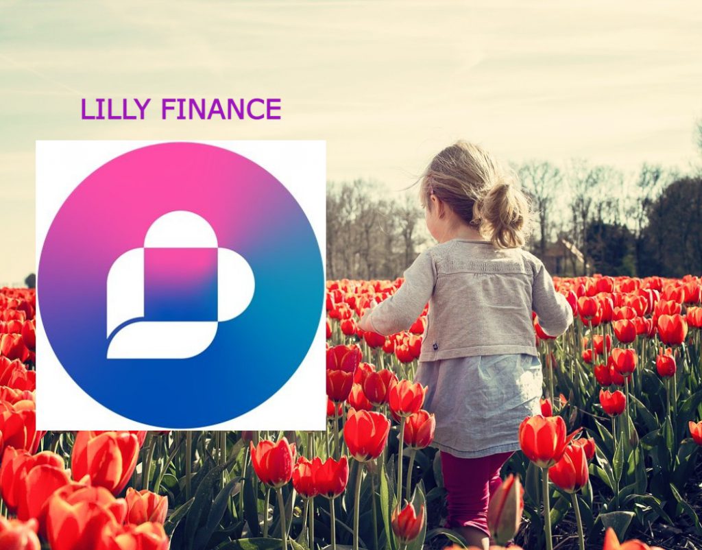 Before SaitaMask listing: Here's the Heart-felt story of Lilly Finance