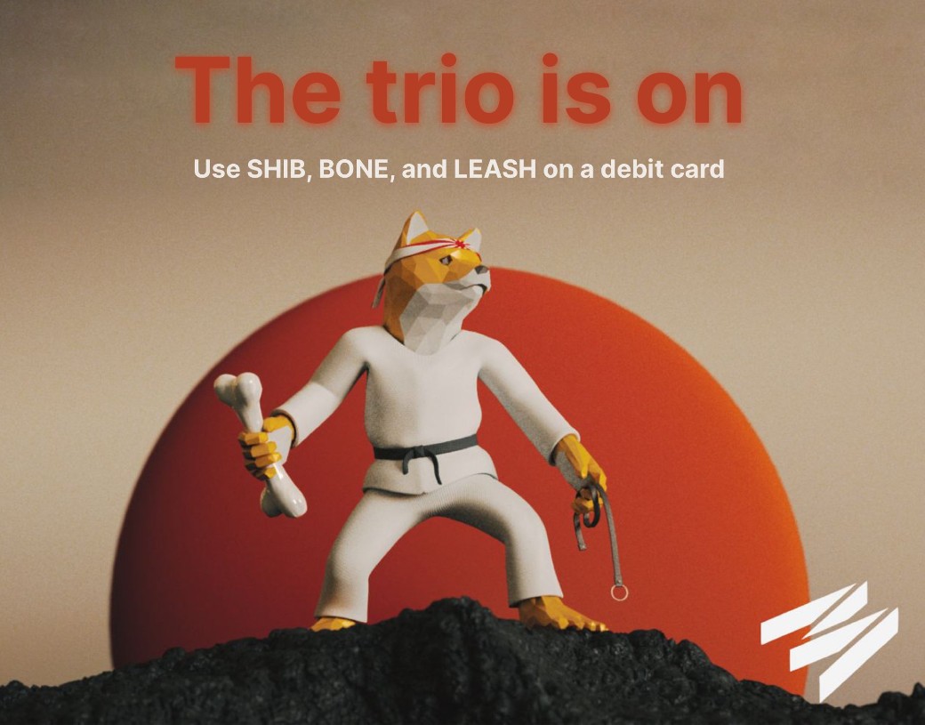 Shiba Inu: What's The Difference Between BONE and tBONE?