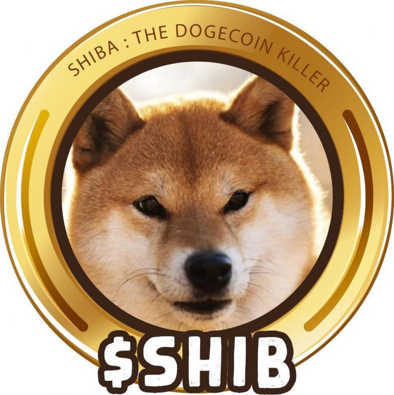 A History of the Shiba Inu 'Logos': Here's How it Changed Thrice in 2 Years