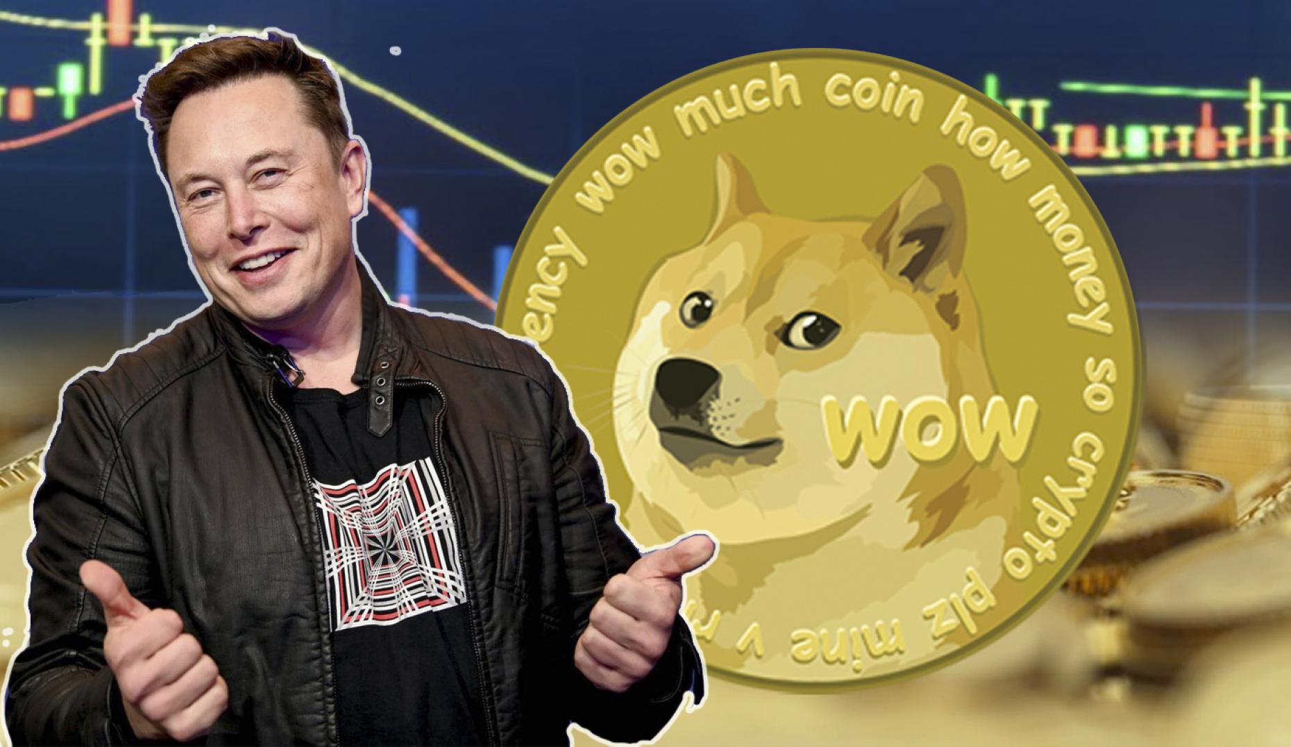 Dogecoin: How successful has Musk been in triggering the #DogeArmy this ...