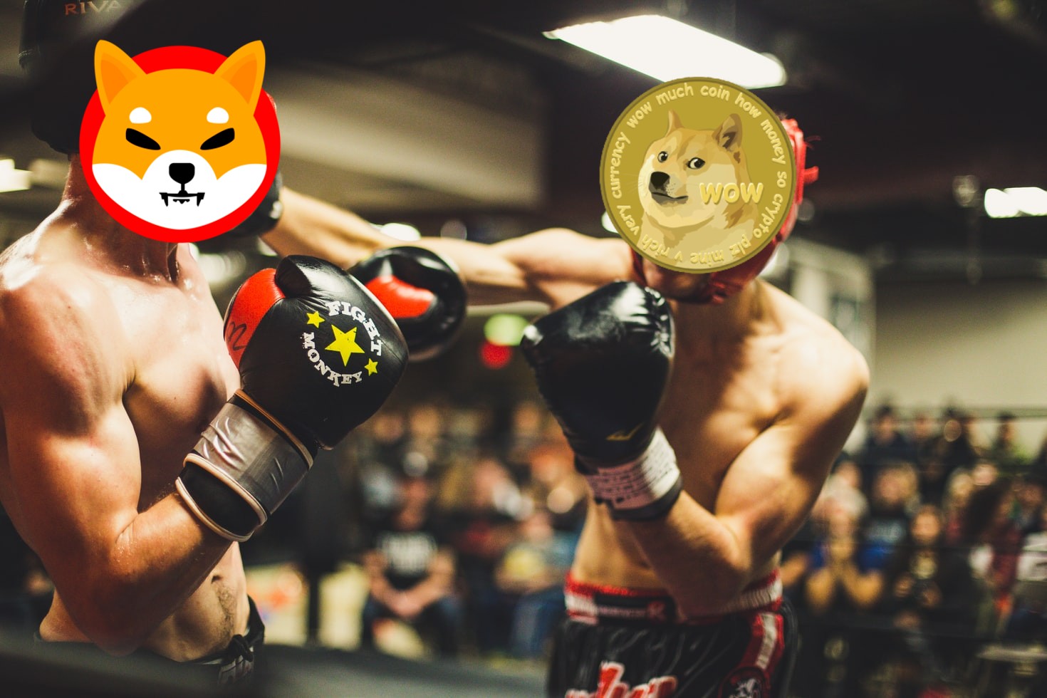Dogecoin's Billy Markus calls out Shiba Inu's Metaverse; Here's Why