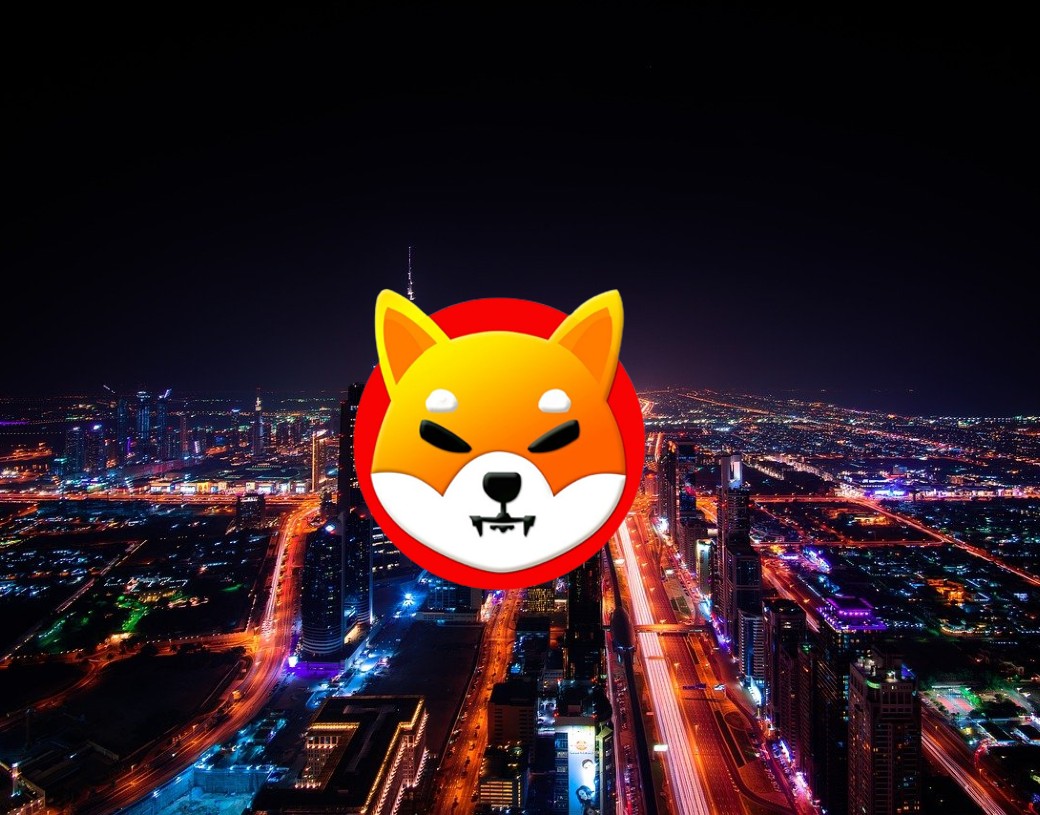 Exclusive: Dubai’s Rain Exchange Confirms to List Shiba Inu, Could be ...