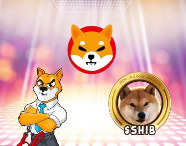 A History of the Shiba Inu 'Logos': Here's How it Changed Thrice in 2 Years