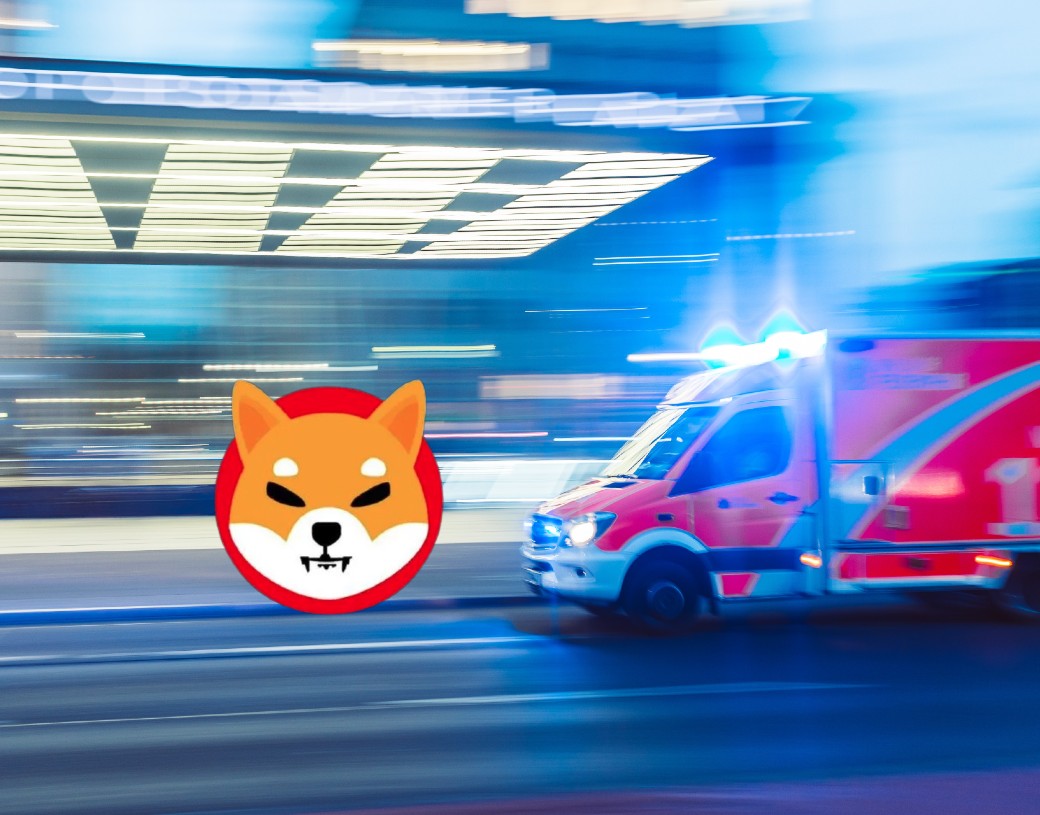 Exclusive: Ambulance Service in Turkey Accepts Shiba Inu as Payment
