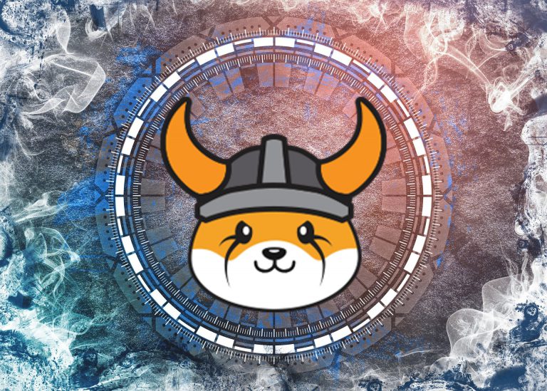 Here's all you need to know about the Floki Inu Valhalla testnet