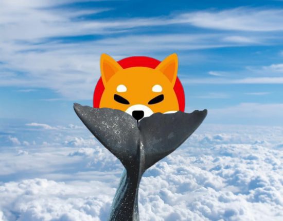 Shiba Inu Gets Surrounded by Whales: 400 Billion SHIB bought in 24-hours
