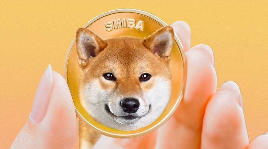 Shiba Inu gains over 15,000 Holders despite losses. Will it climb back up?