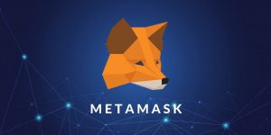 How to Stake Your Coins on MetaMask