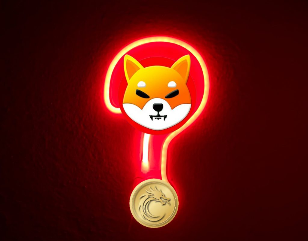 Did Shiba Inu Founder Ryoshi Launch Another Token ‘Dejitaru Tsuka’?
