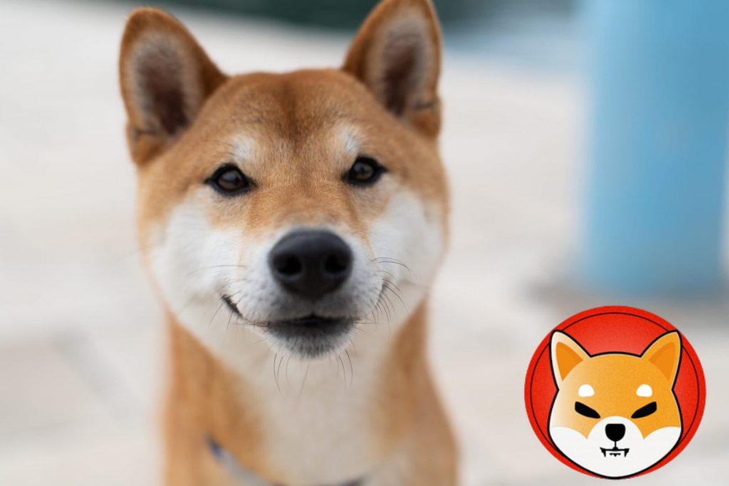 Shiba Inu: Did Shytoshi Kusama Just Tease a Shibarium Launch?