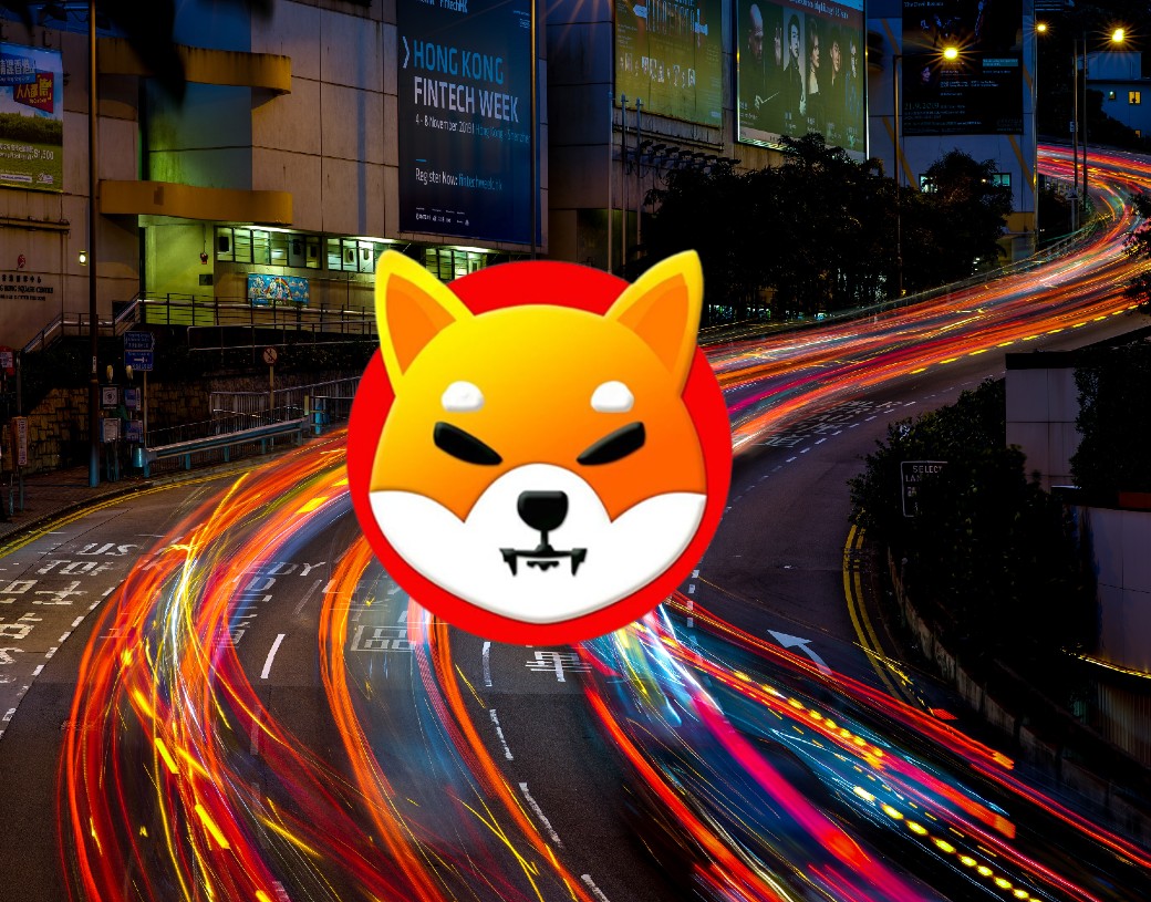 Shiba Inu: If You Invested $1,000 in January 2022, What Would it Be ...