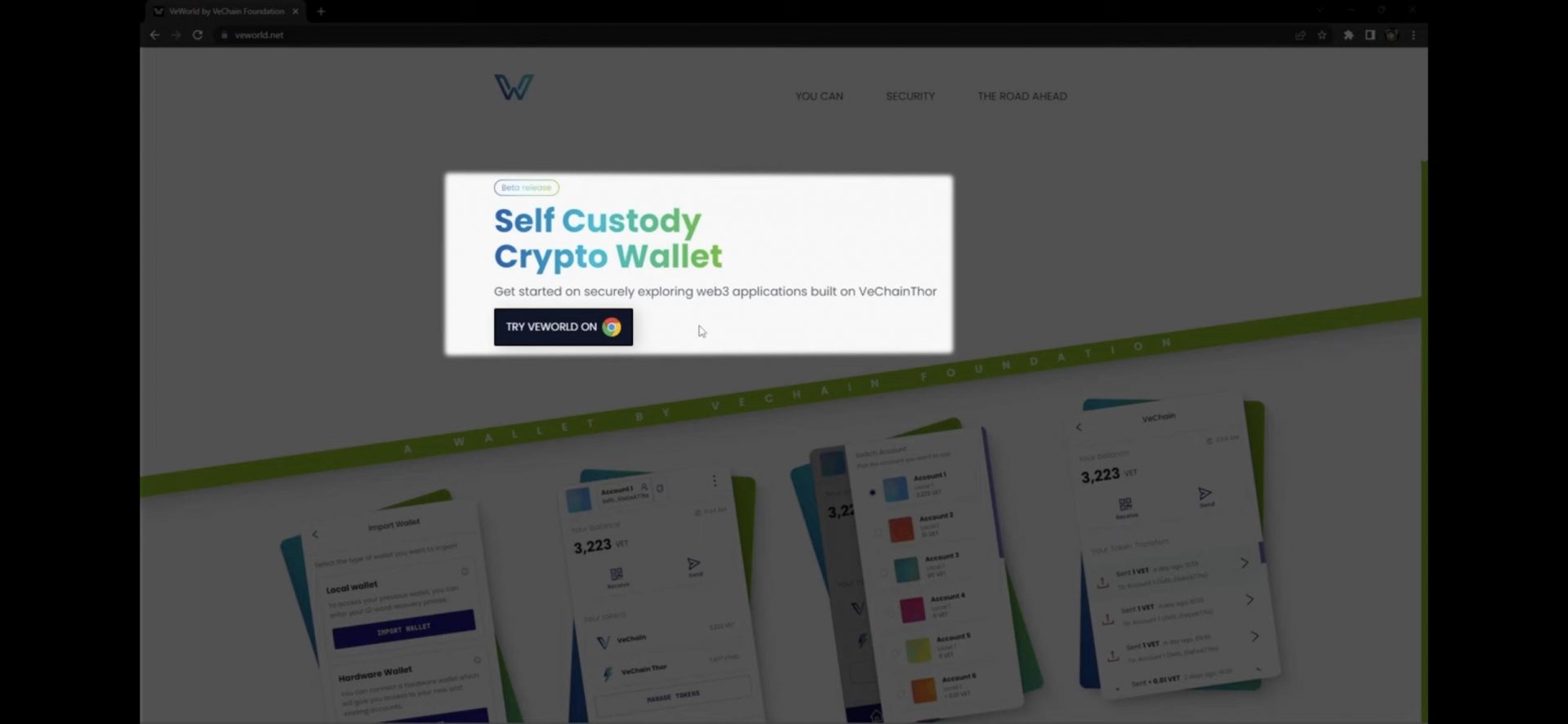 VeChain: How to Download VeWorld Wallet