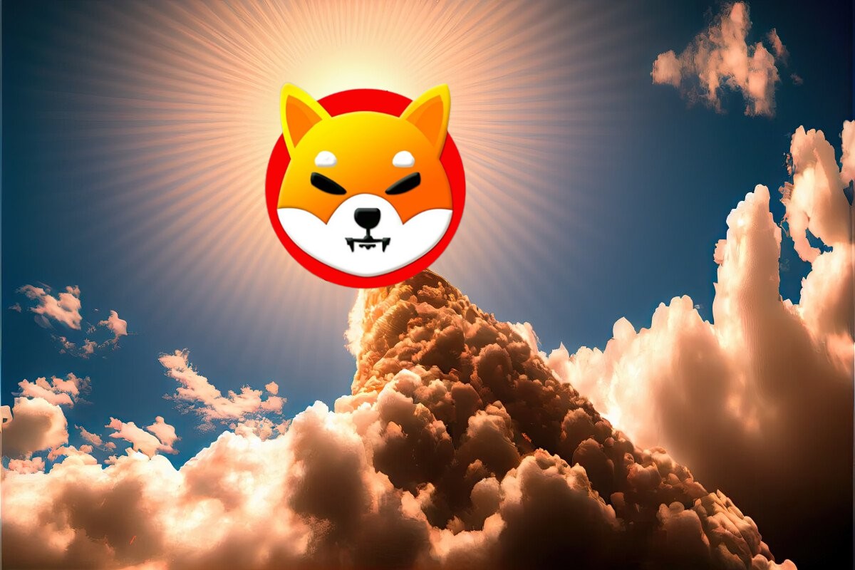 Shiba Inu Tops the List of Most Expensive Transactions in Crypto History