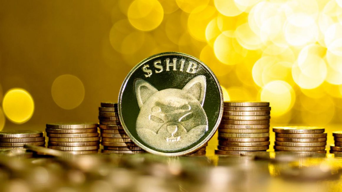 Shiba Inu (SHIB) Lead Dev Says He is Moving a Few Chess Pieces ...