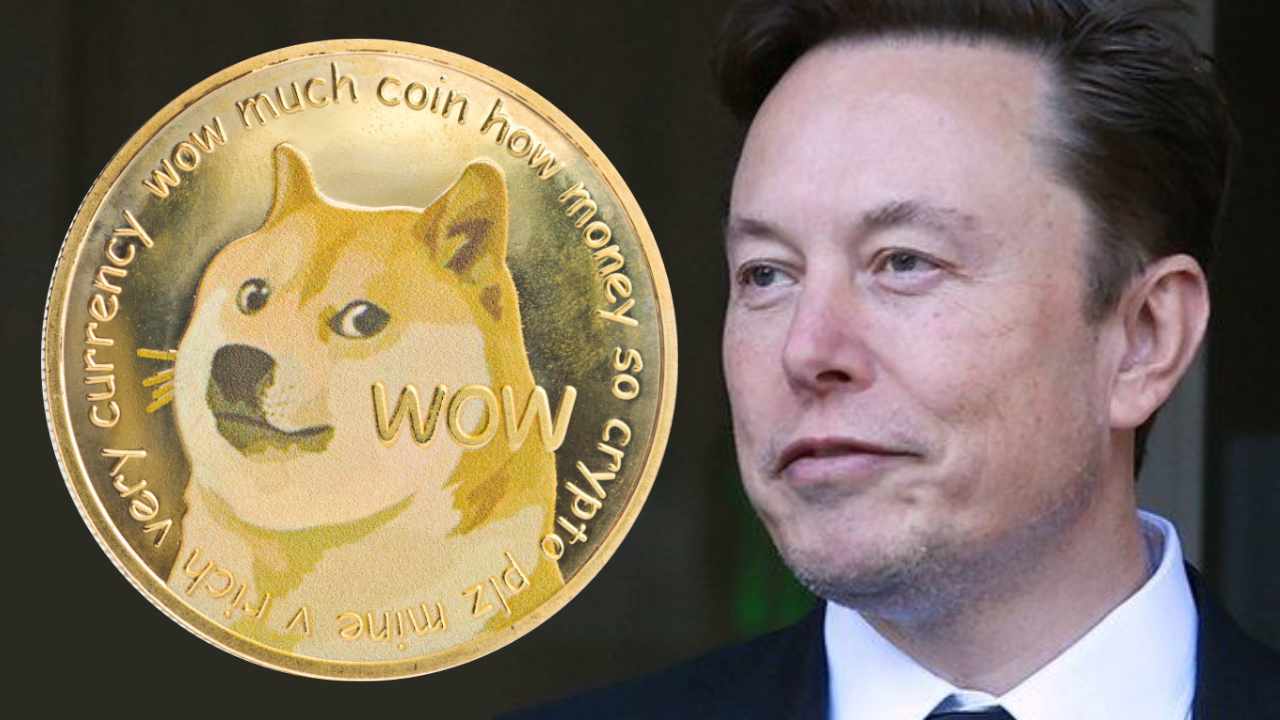 Dogecoin How Much DOGE Does Elon Musk Have 
