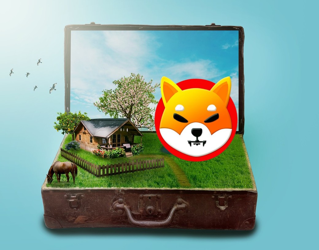 Exclusive: 'If Shiba Inu Reaches $0.01, I'll Buy 20 Acres Land & Build ...