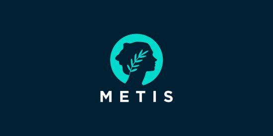 How to Use Metis Bridge