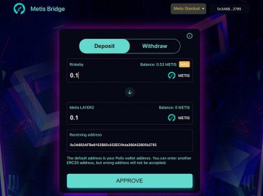How to Use Metis Bridge