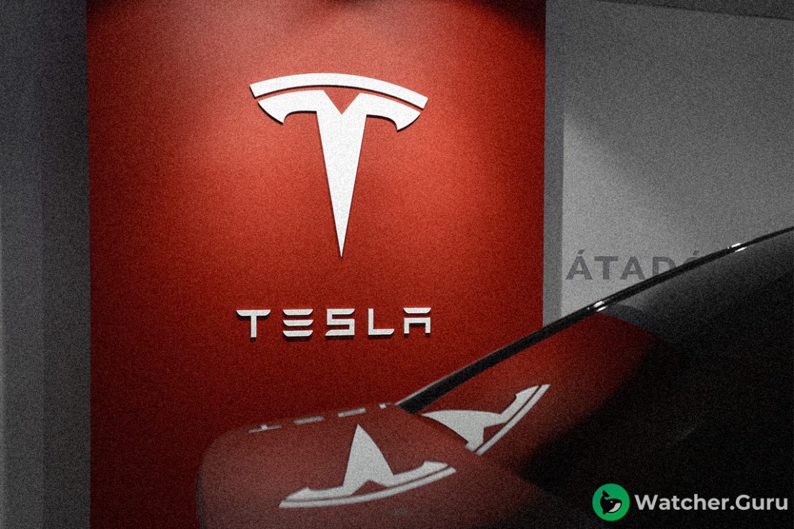 Tesla Stock (TSLA) Surges After Donald Trump Gives Endorsement