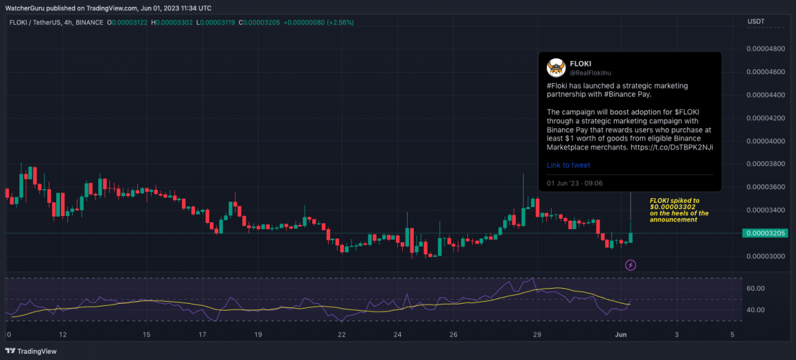 Floki Inu Launches Strategic Partnership with Binance Pay