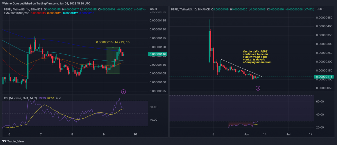 Pepe Coin: Whale That Made $11 Million Profit on PEPE Invests Again ...
