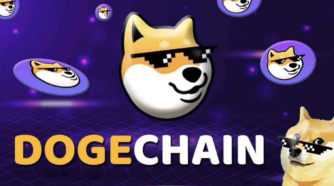 How to Add Dogechain to MetaMask