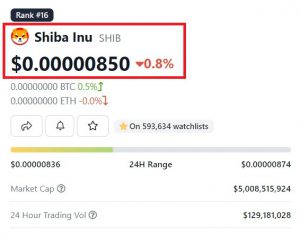 Shiba Inu: You Can Become a SHIB Millionaire With Only $8.5