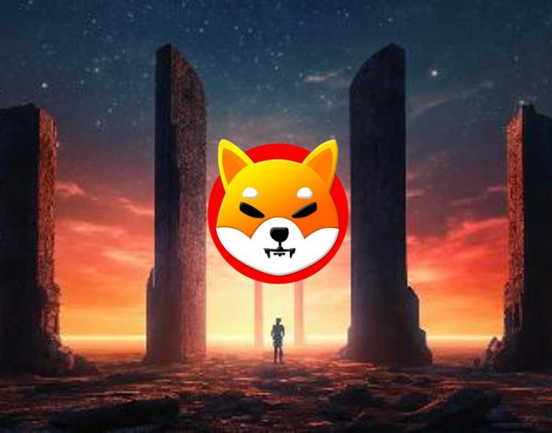 Shiba Inu: You Can Become a SHIB Millionaire With Only $8.5