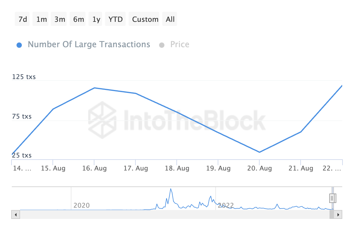 Polygon's Nothing Phone Update Set to Launch Next Week