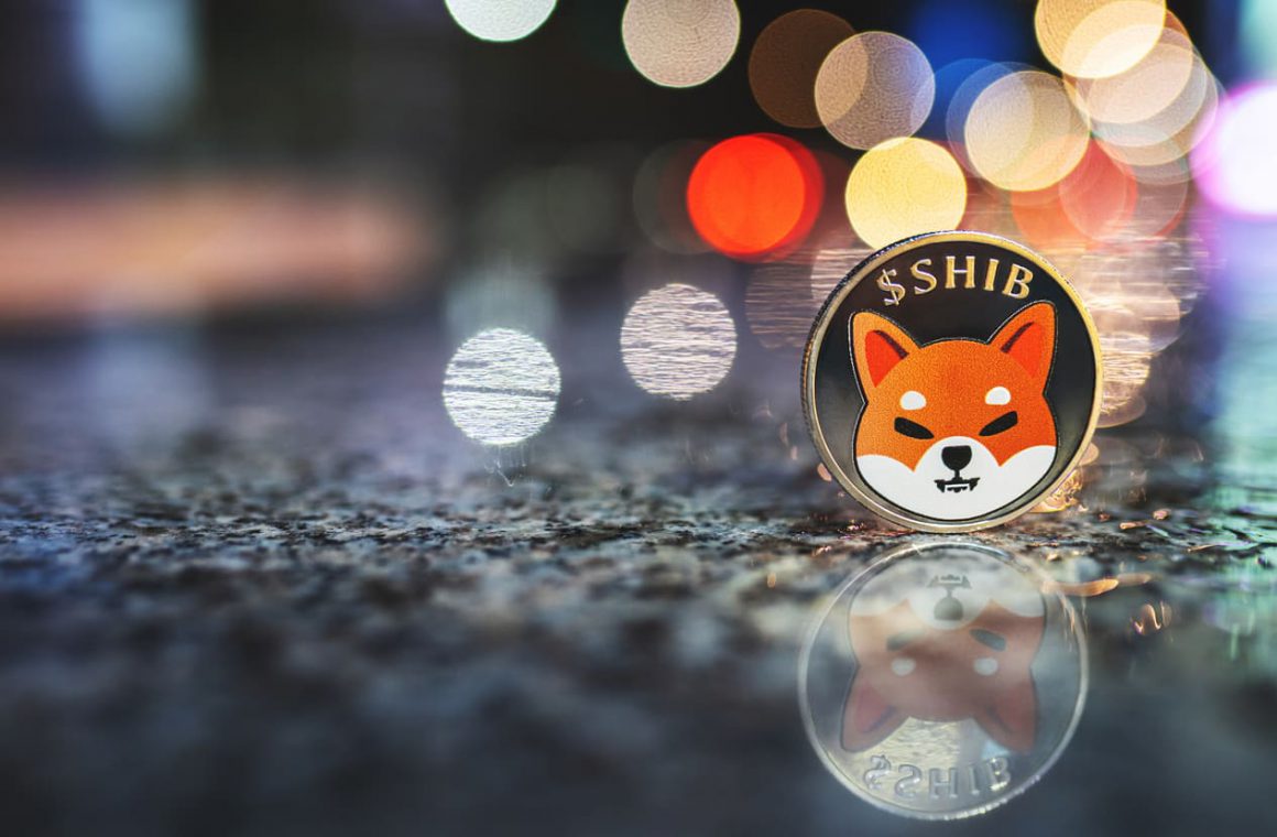 Shiba Inu Forecasted to Rise 650%: Here's When