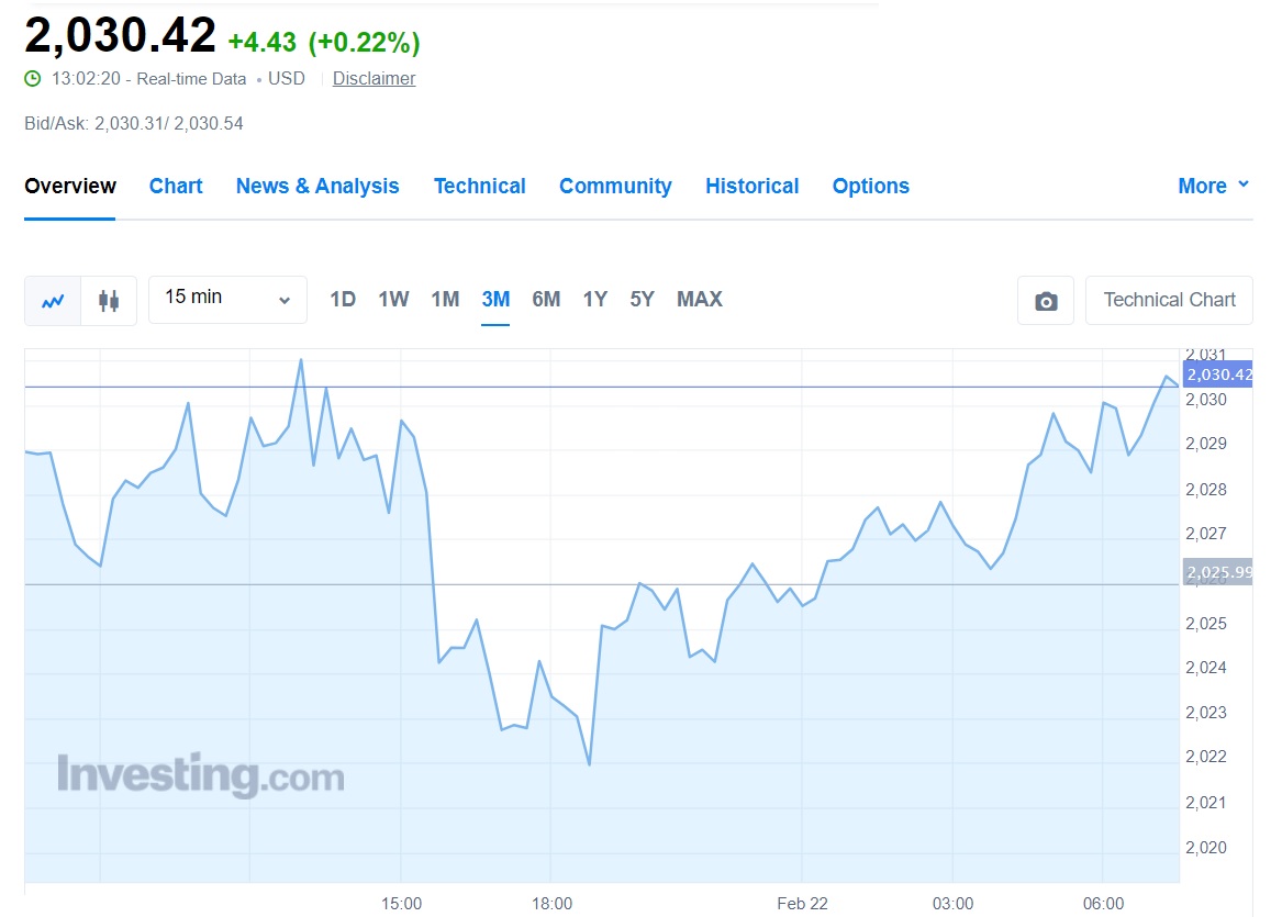 Gold Prices Reach $2,030: Why Is the Precious Metal Rising?