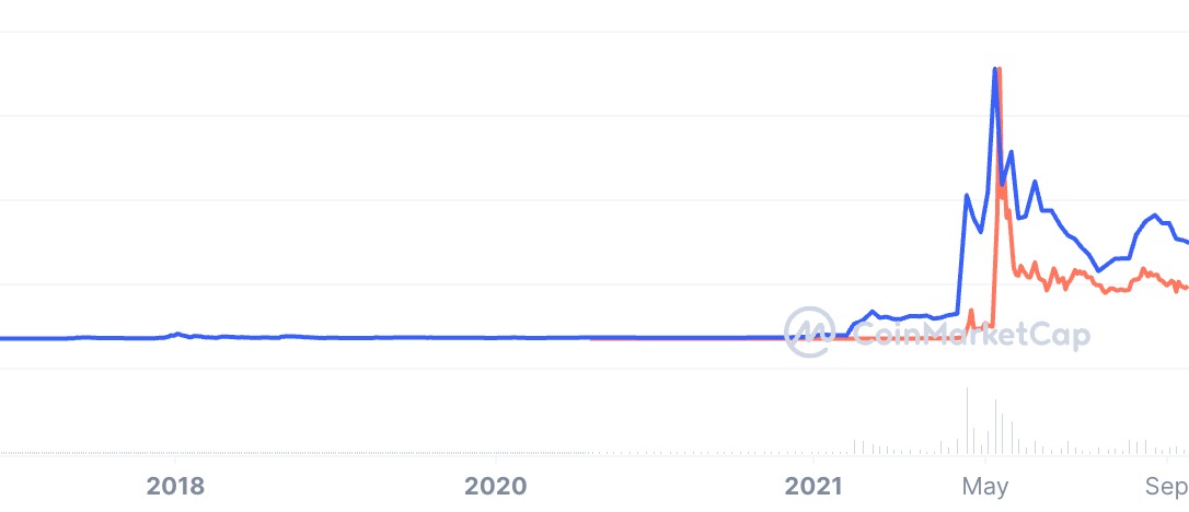 Shiba Inu's Ascent: Can It Match Dogecoin's Market Cap?