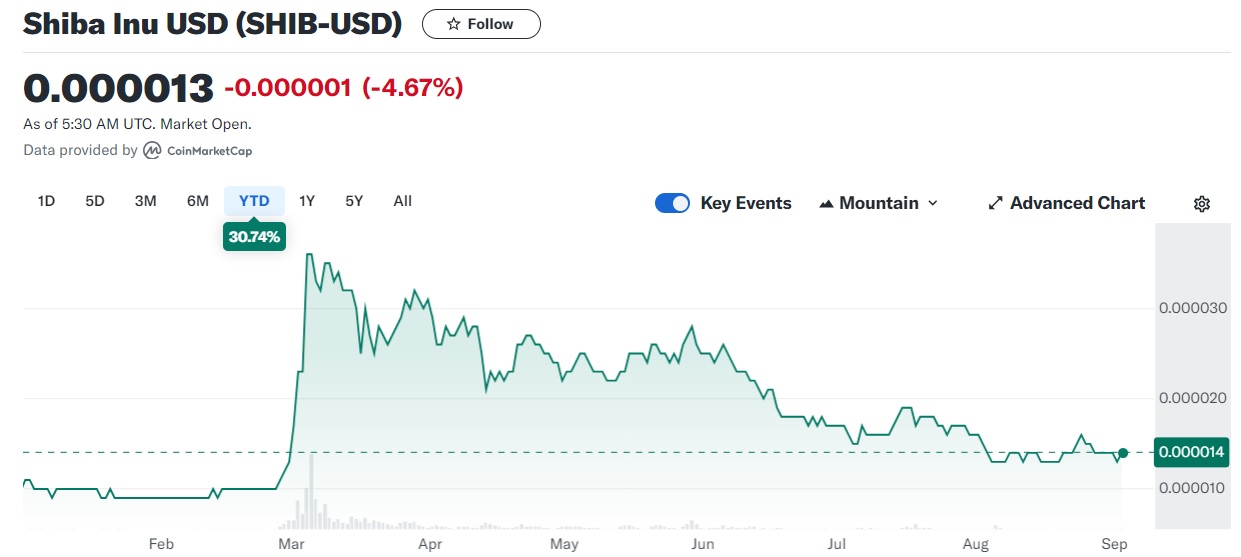 Shiba Inu Vs Dogecoin: Which Cryptocurrency Delivered Profits in 2024?