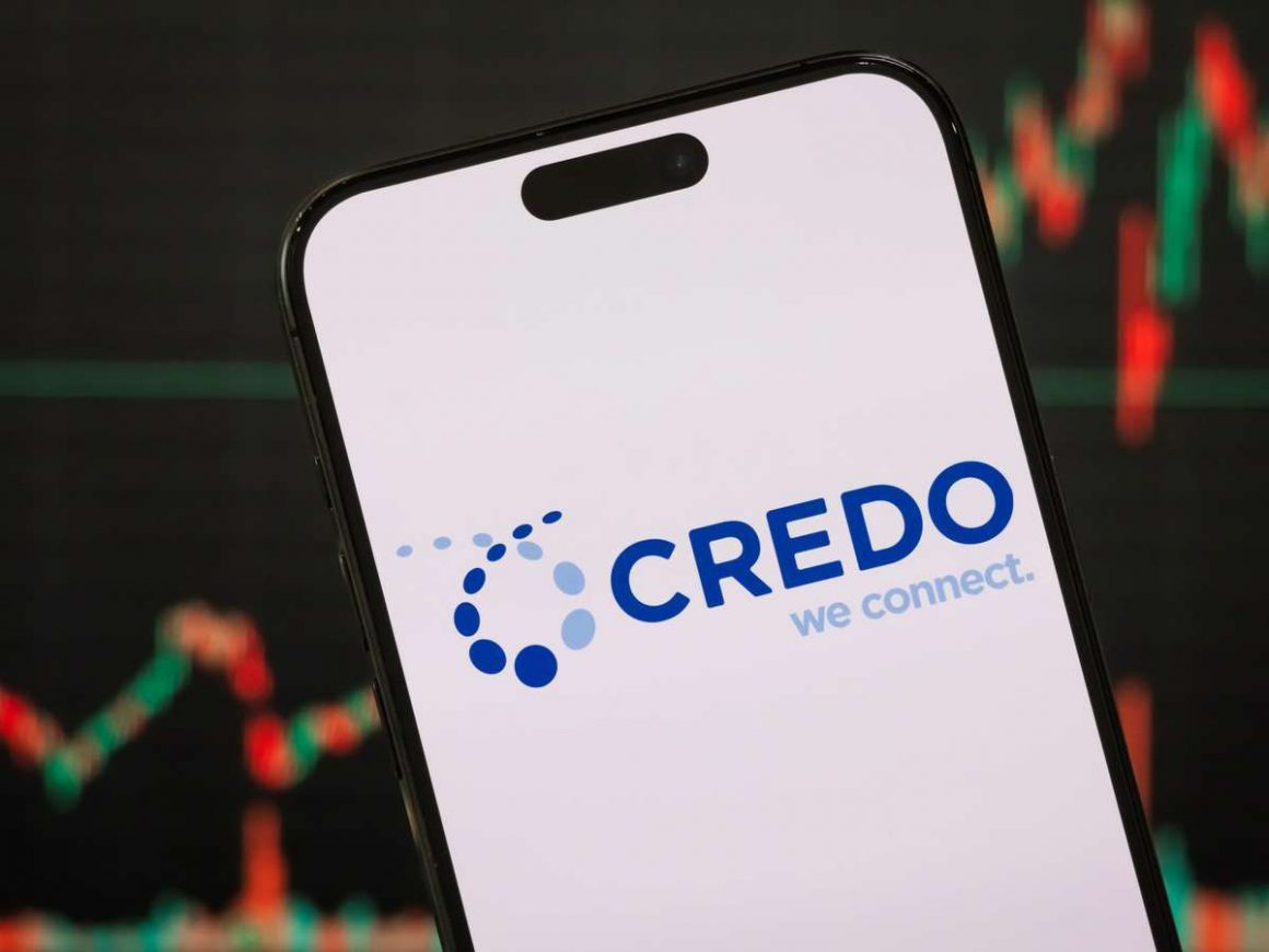 Credo Technology (CRDO) Stock Turns Tuesday's Top Performer: Rises 25%