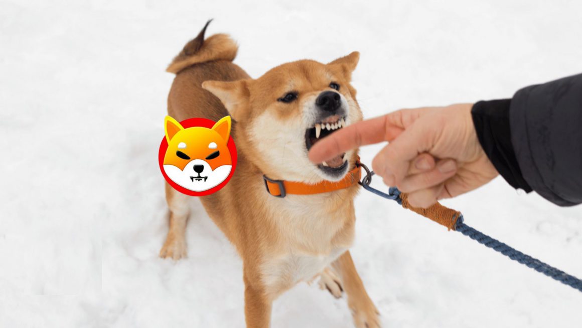 The Hard Truth: Shiba Inu May Slump Longer Than Expected