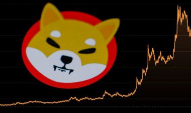 Shiba Inu Price Forecast: Min & Max Targets for 2030, 2040, 2050